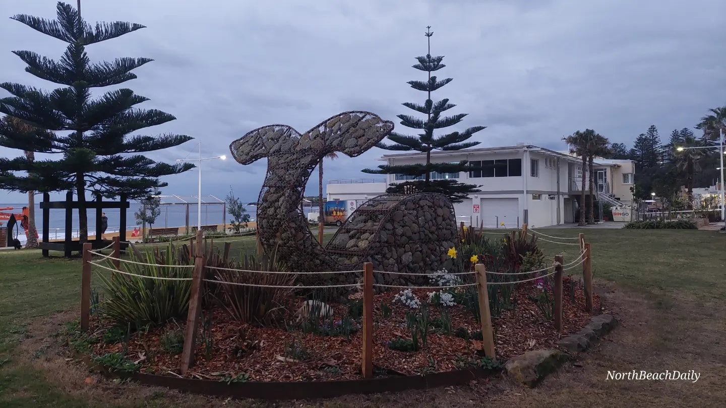 Tuesday 16th July 2024 – North Beach Daily