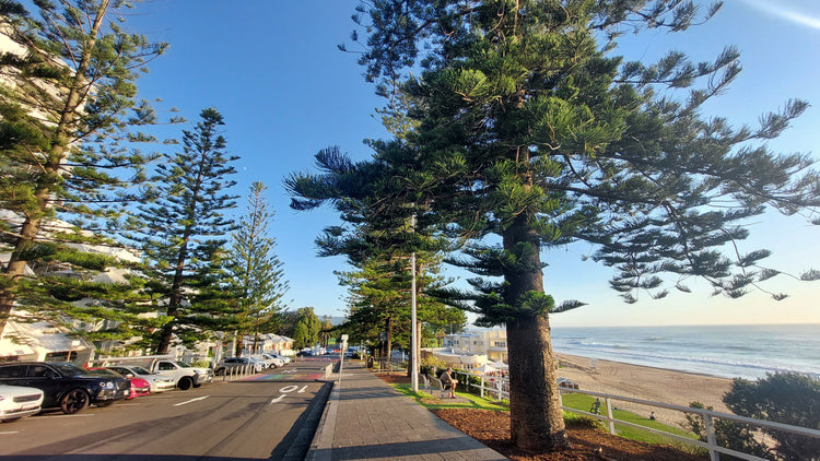 Wednesday 23rd October 2024 – North Beach Daily