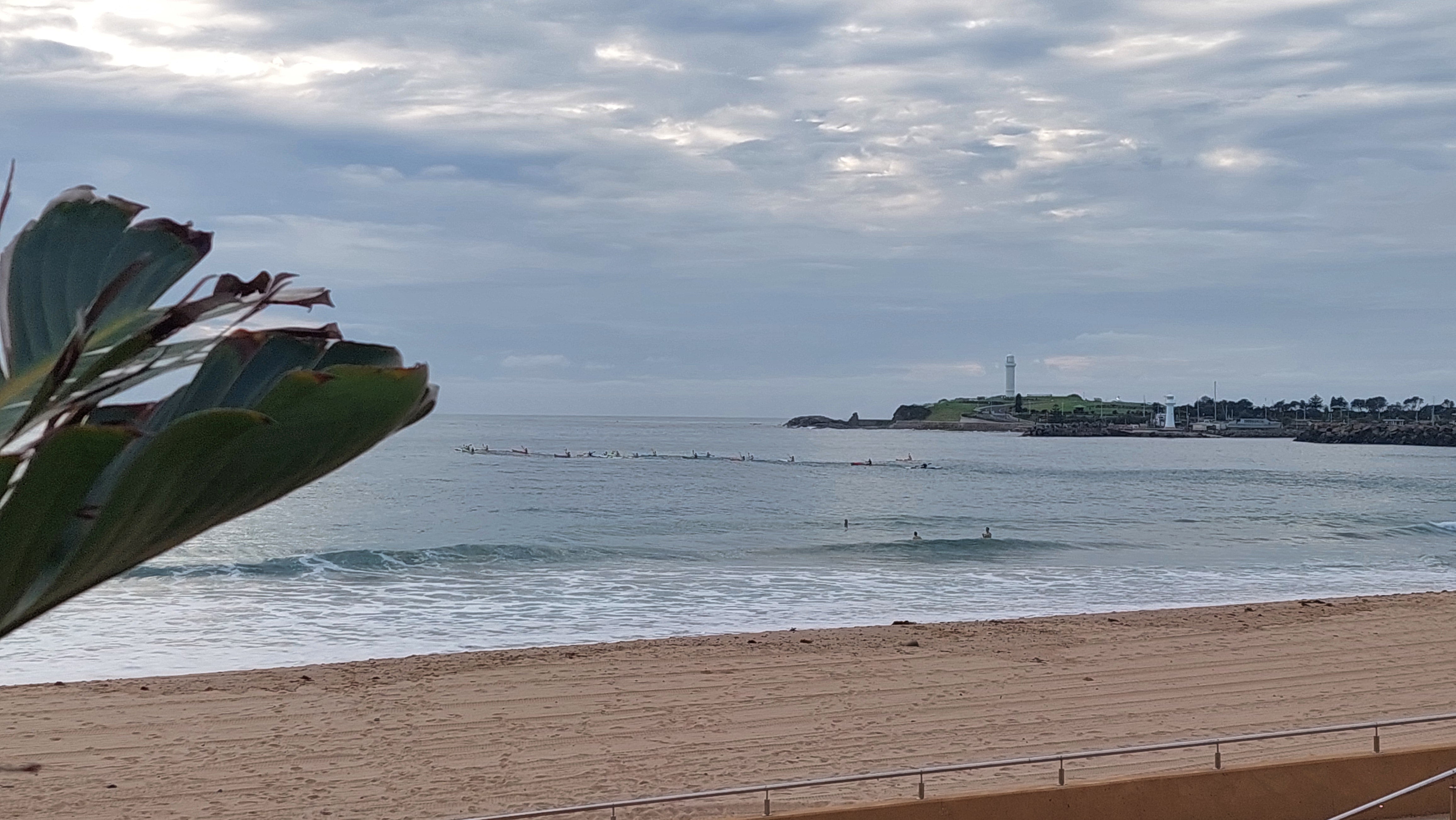 Tuesday 12th November 2024 – North Beach Daily