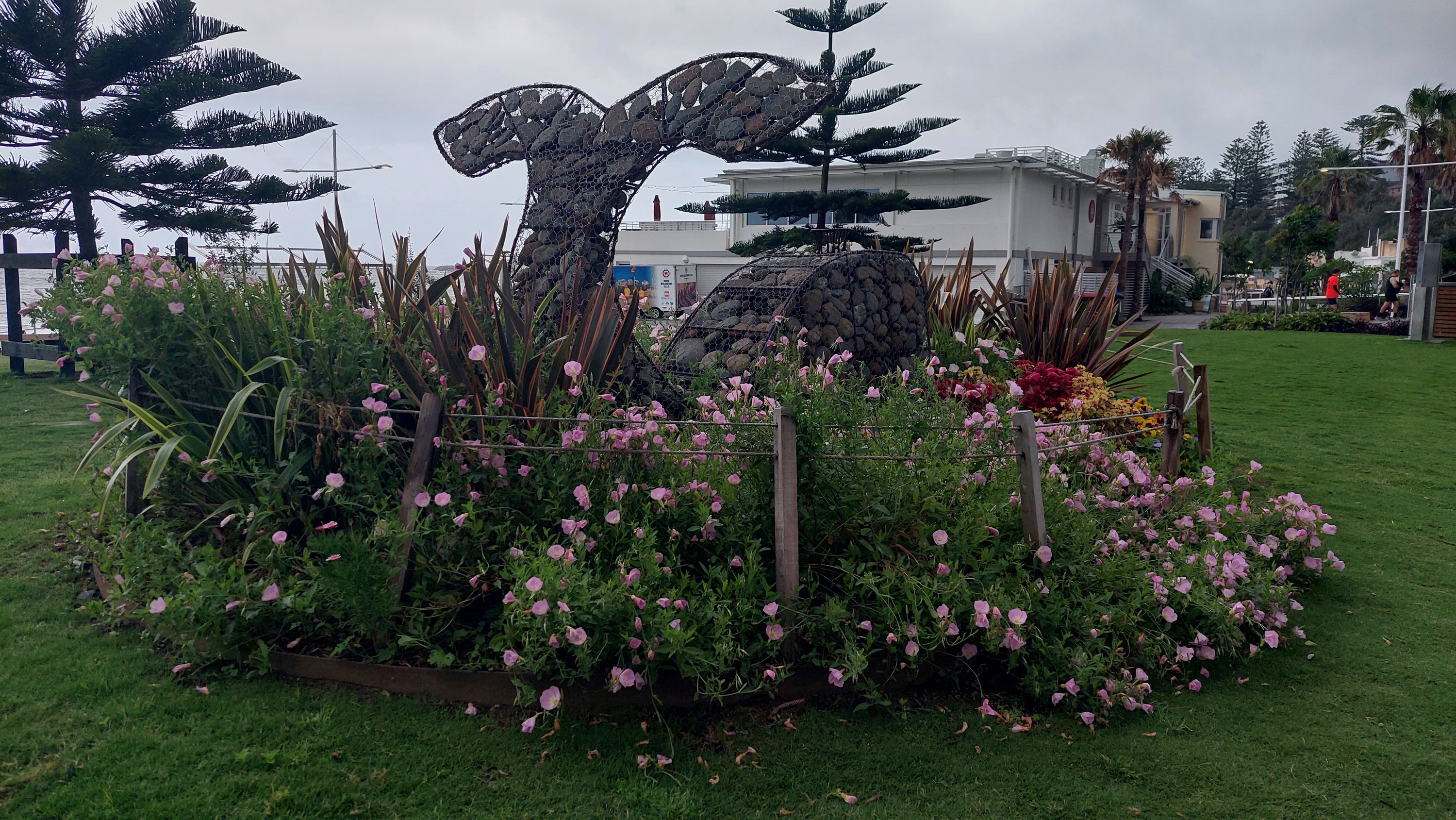Thursday 14th November 2024 – North Beach Daily