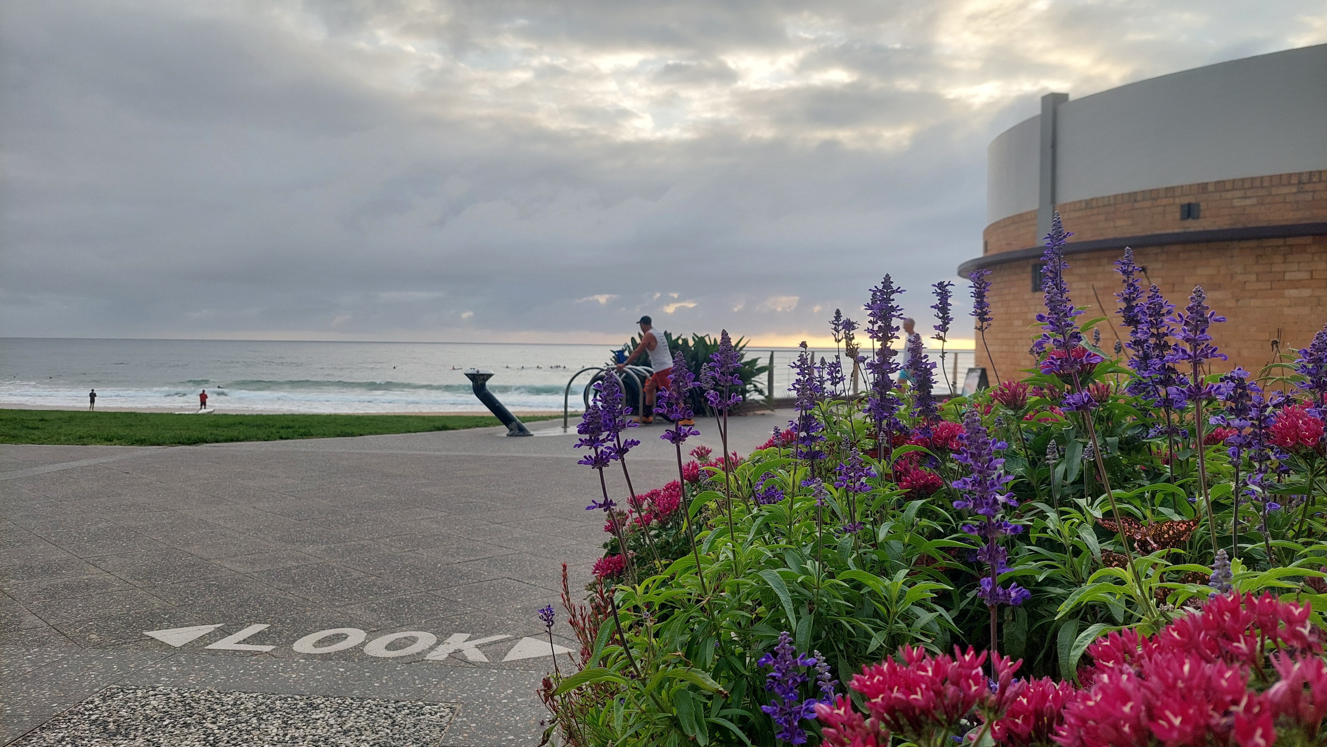 Thursday 30th January 2025 – North Beach Daily