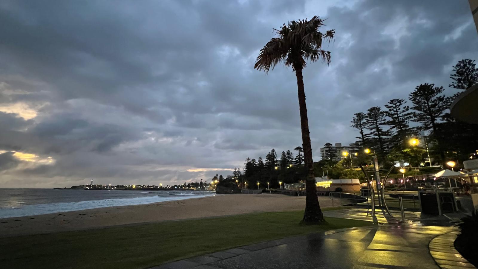 Friday 10th January 2025 – North Beach Daily