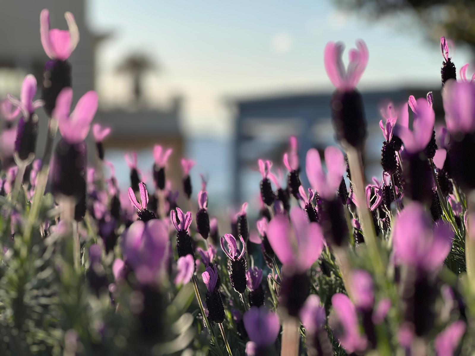 Saturday 20th September 2025 – North Beach Daily